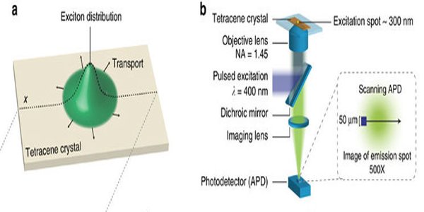 Excitonics and Photonics Lab – Home for the Excitonics and Photonics Lab
